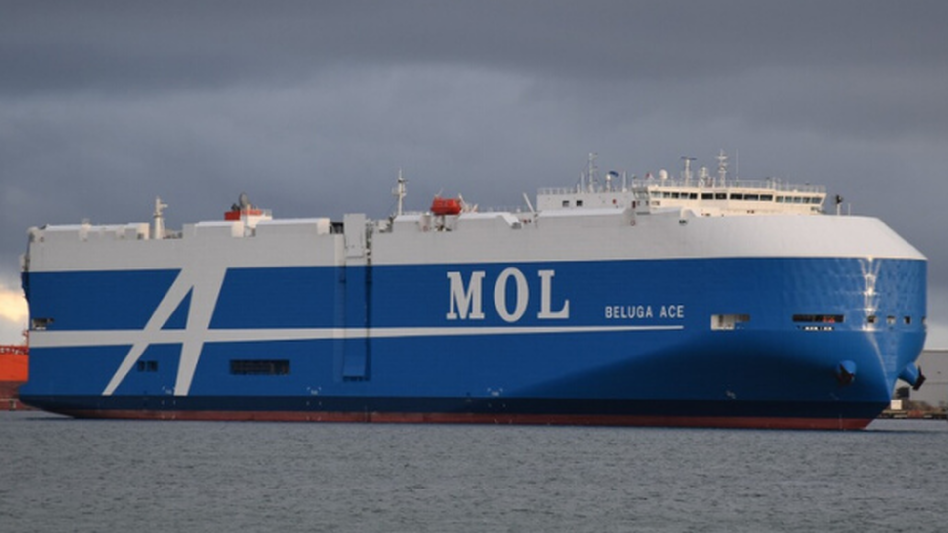 Autofile - News / Insects discovered on ship